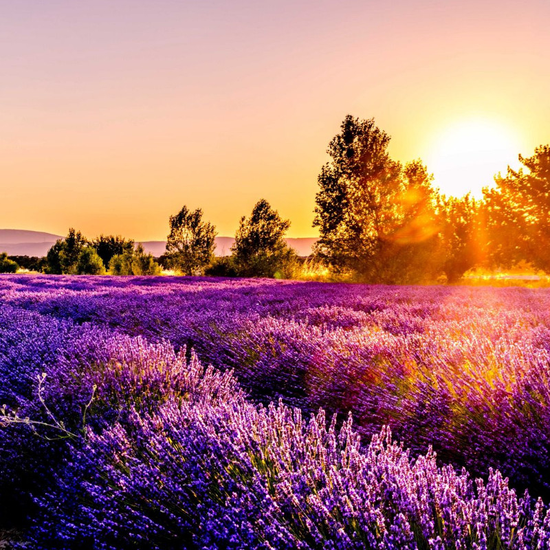 这是论文《Detecting Unknown Encrypted Malicious Traffic in Real Time via Flow Interaction Graph An...